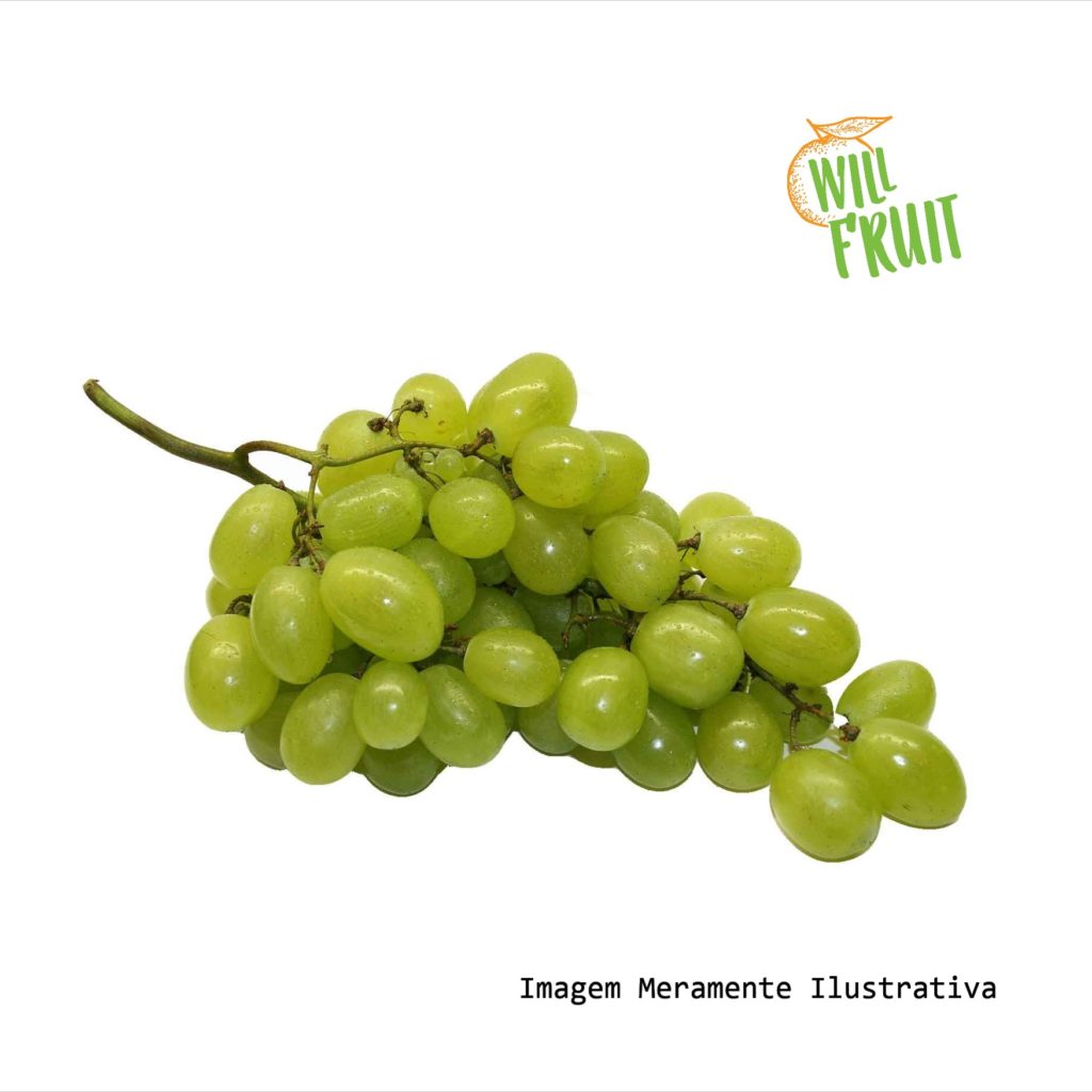 UVA THOMPSON (Bandeja com 450 gramas) – Will Fruit Quitanda Delivery