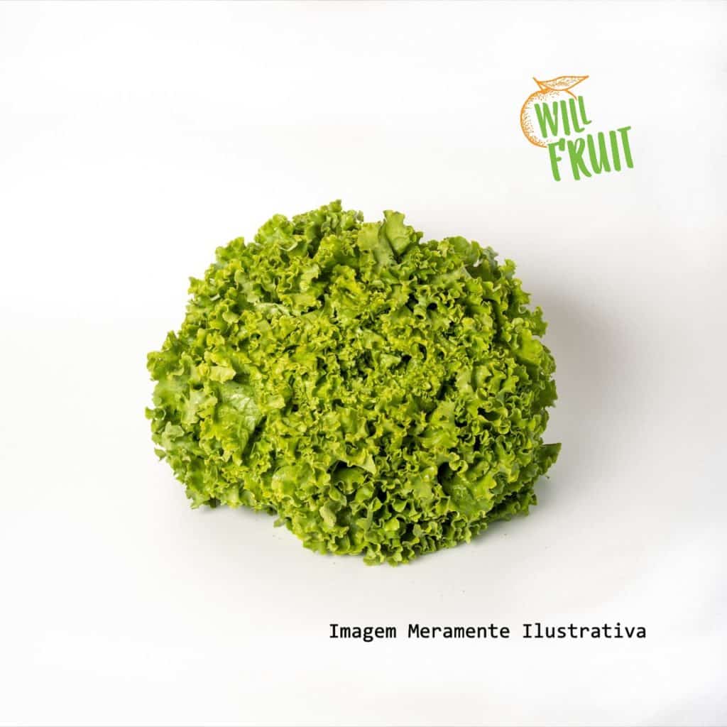 ALFACE FRISÉE (Unidade) – Will Fruit Quitanda Delivery