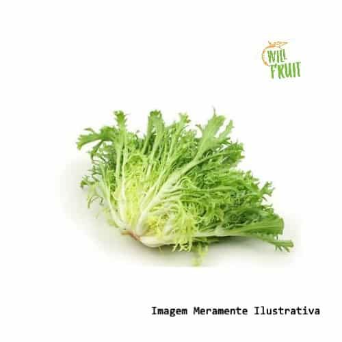 ALFACE FRISÉE (Unidade) – Will Fruit Quitanda Delivery