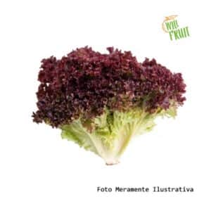 ALFACE ROXA (Unidade) – Will Fruit Quitanda Delivery