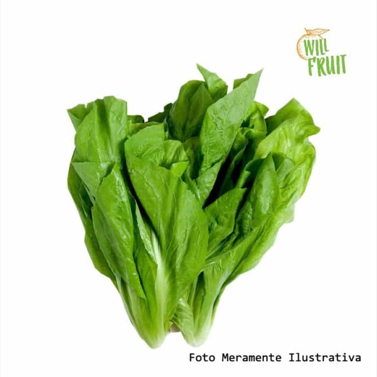 ALMEIRÃO (Unidade) – Will Fruit Quitanda Delivery