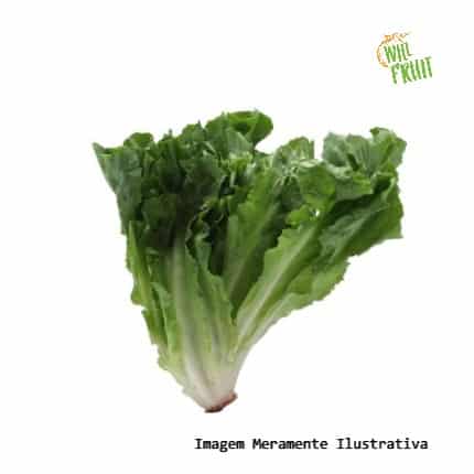 CHICÓRIA (Unidade) – Will Fruit Quitanda Delivery