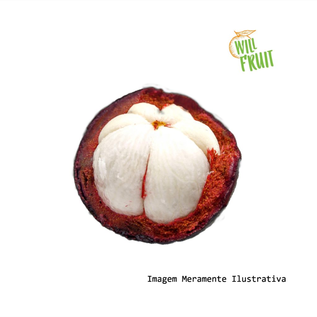 MANGOSTIM (Unidade) – Will Fruit Quitanda Delivery