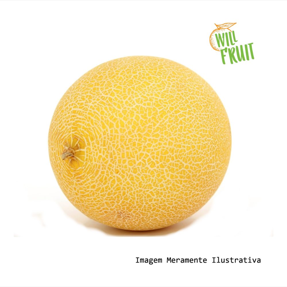 MELÃO ORANGE (Unidade) – Will Fruit Quitanda Delivery