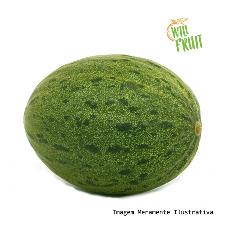 MELÃO ORANGE (Unidade) – Will Fruit Quitanda Delivery