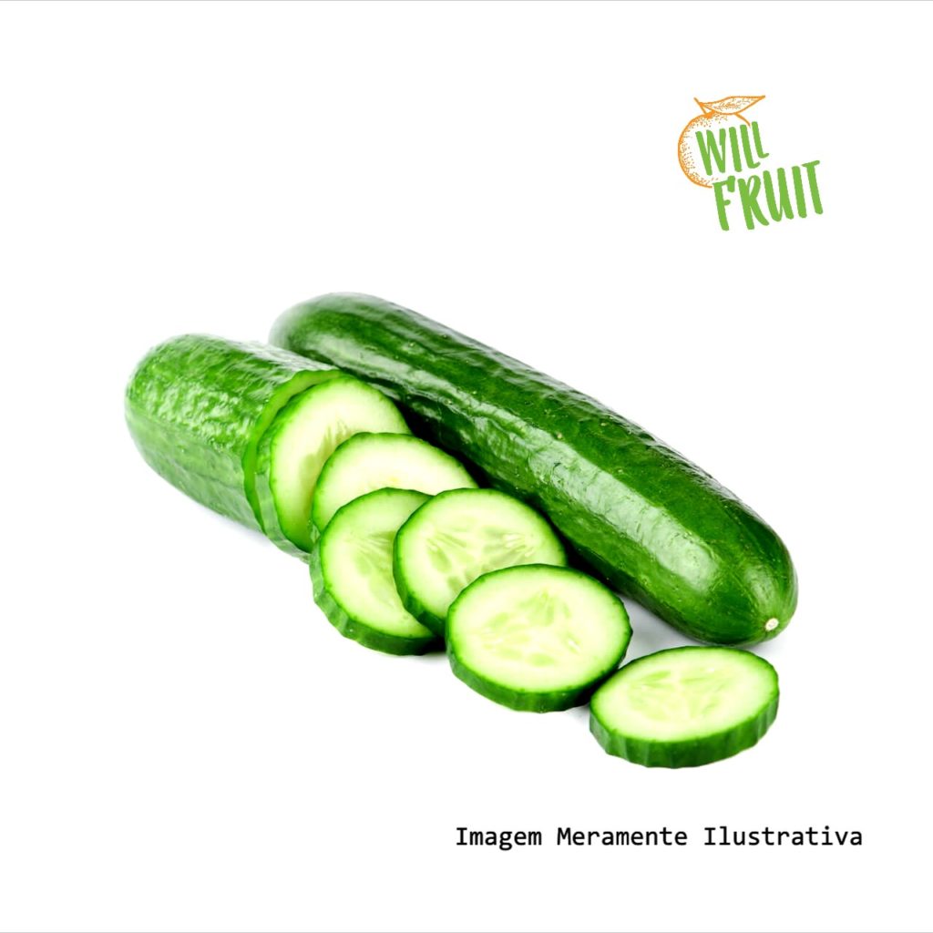 PEPINO COMUM (Unidade) – Will Fruit Quitanda Delivery