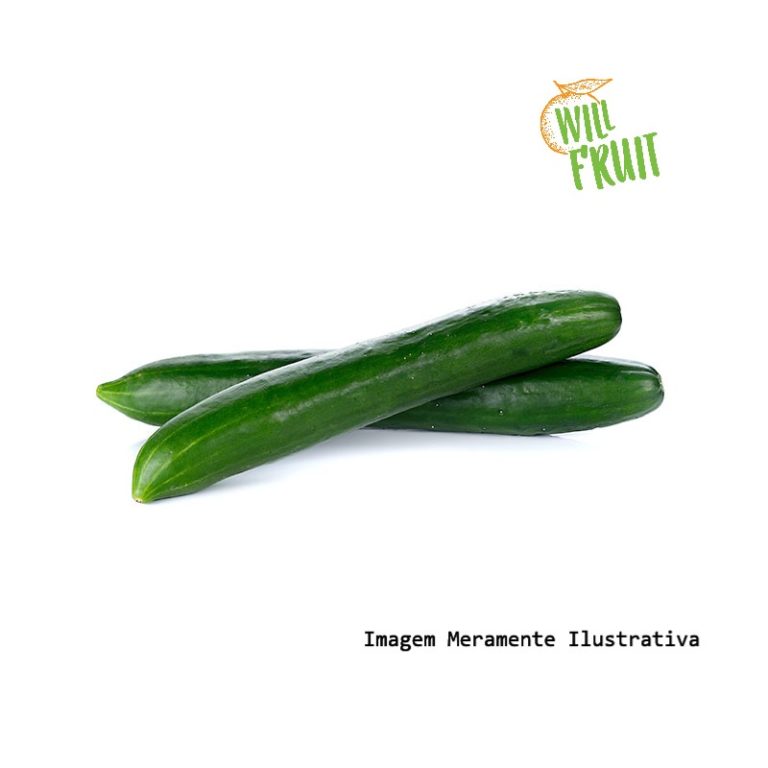 PEPINO COMUM (Unidade) – Will Fruit Quitanda Delivery